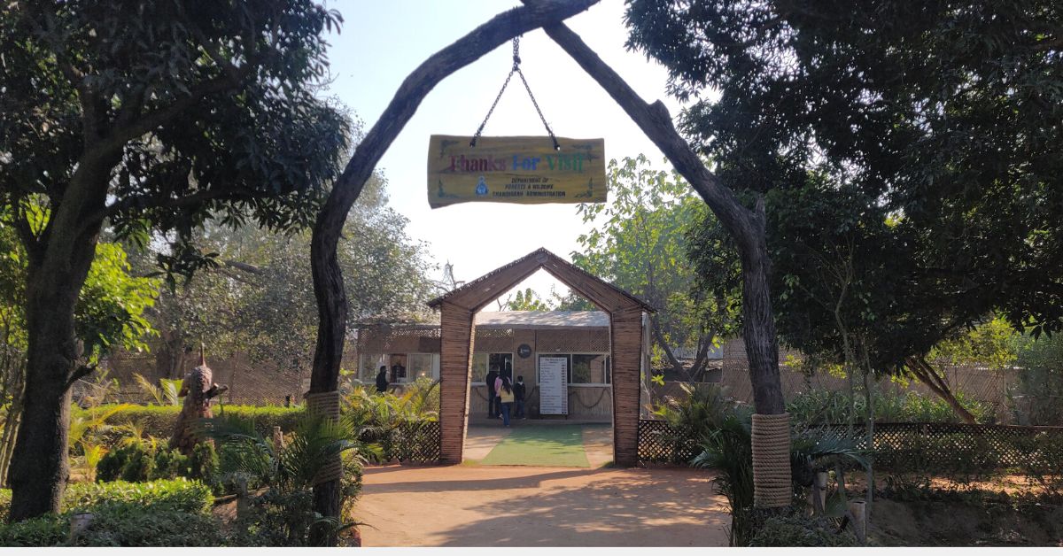 Chandigarh Bird Park: Attractions, Timings and Entry Fees