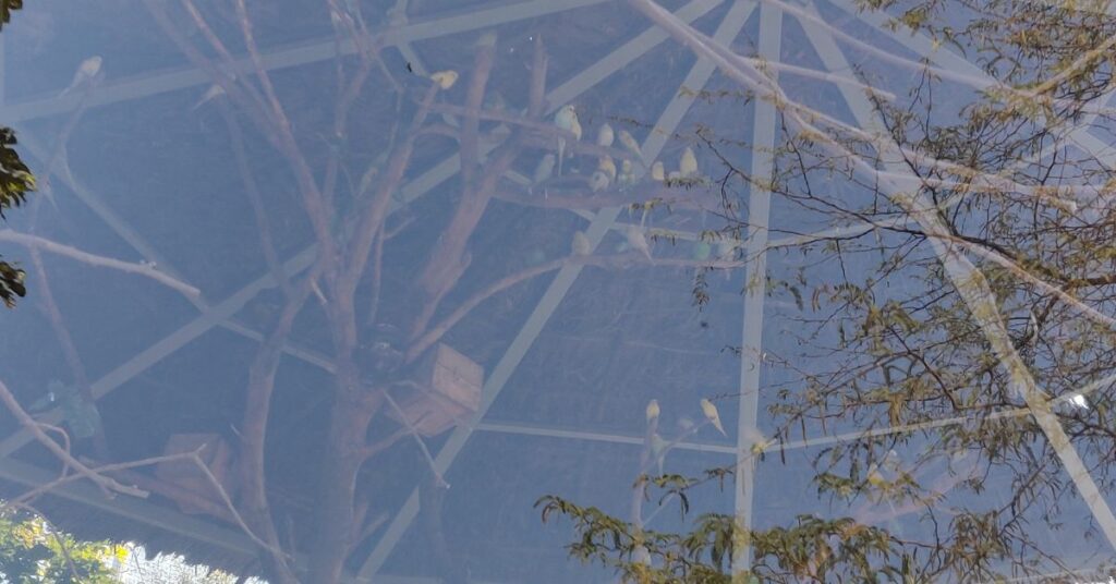 Chandigarh Bird Park: Attractions, Timings and Entry Fees