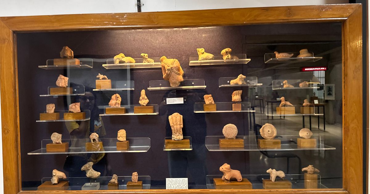 Explore The Government Museum and Art Gallery in Chandigarh